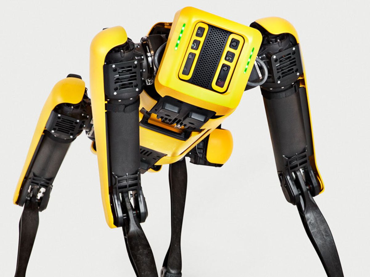 New York: NYPD announces the return of robot dogs in the United States ...